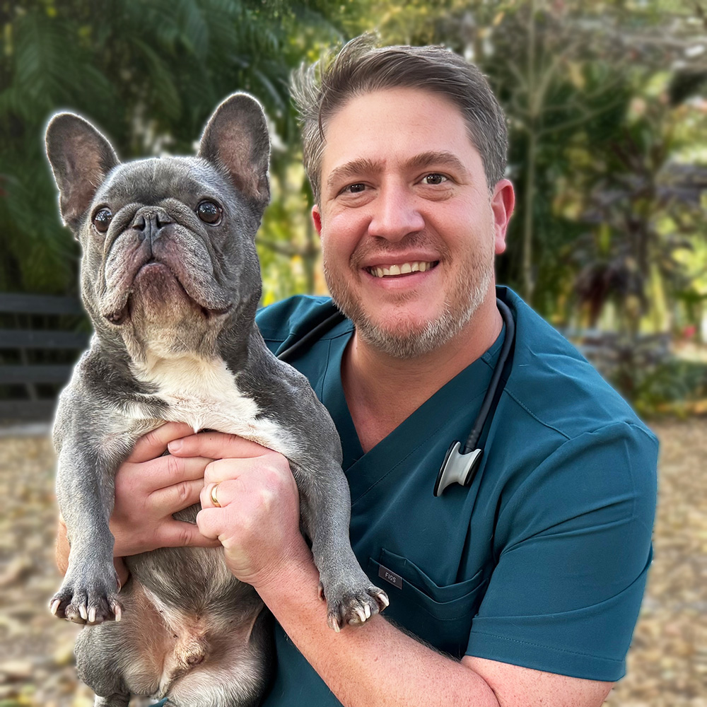 Veterinary Surgery Group LLC - Modern Pet Surgery for the Treasure ...